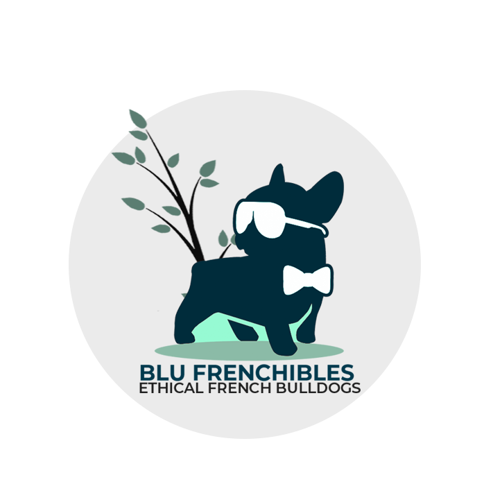 Where Every Season is Jimmo Season